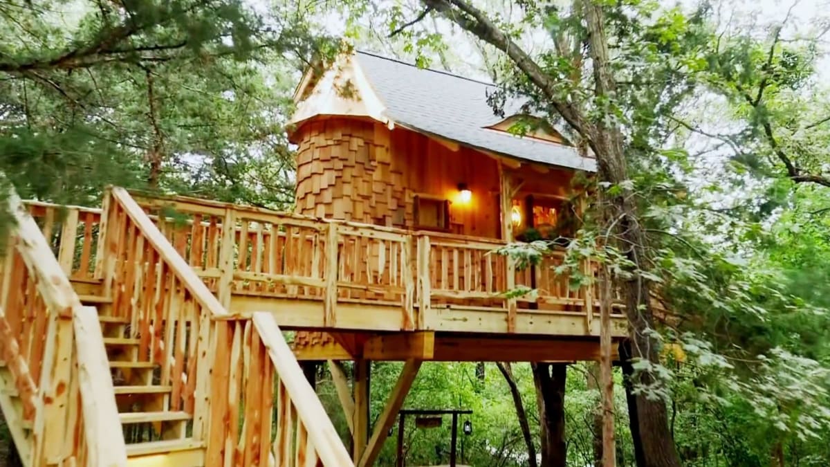 Magical Party Pad - Treehouse Masters | Animal Planet
