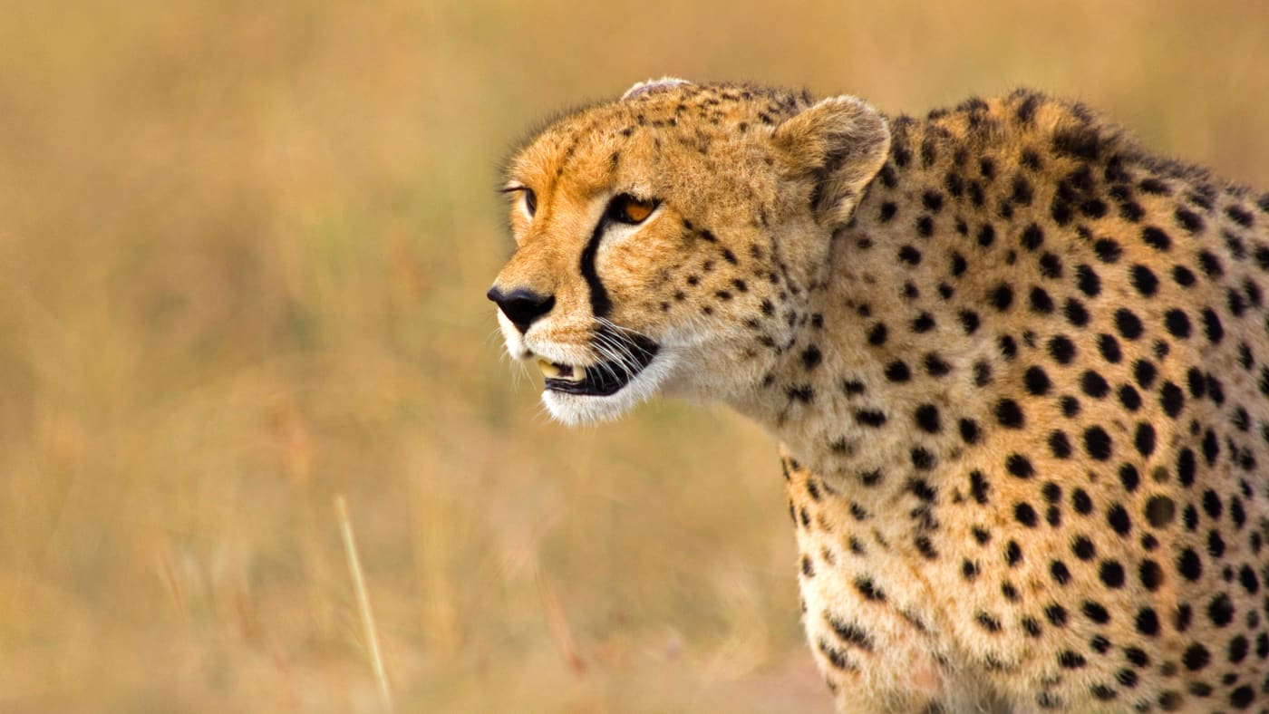 Discovery - Official Site