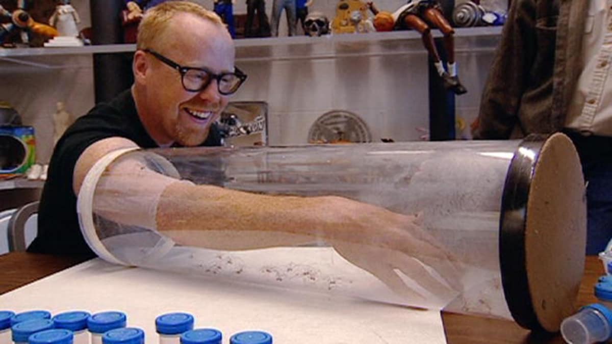 Daddy Longlegs MiniMyth - MythBusters | Discovery