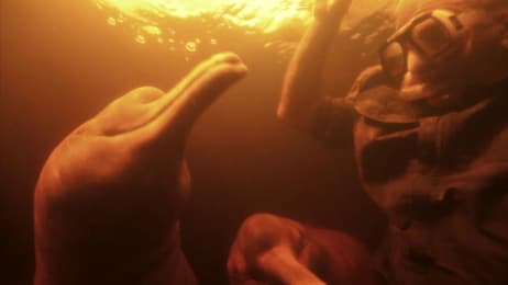 Giant Vundu Caught Under Dam - River Monsters | Animal Planet