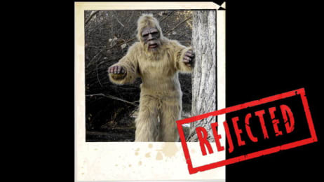 Bigfoot in Virginia? - Finding Bigfoot | Animal Planet