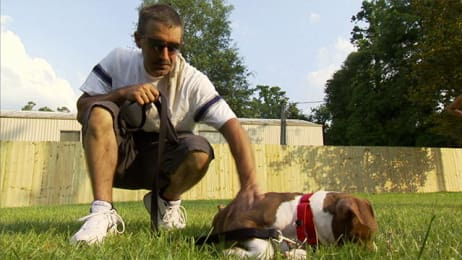 A Forever Home for Alien? - Pit Bulls & Parolees | Animal Planet