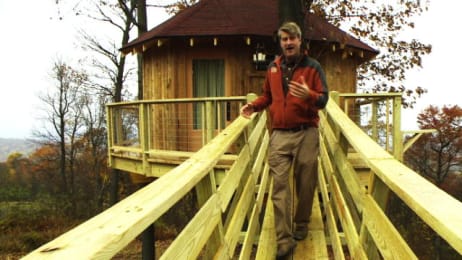 Behind the Build: Glasshouse Treehouse - Treehouse Masters | Animal Planet
