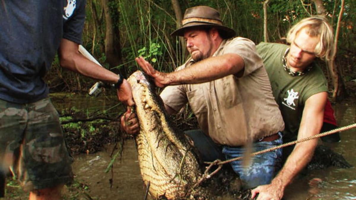 Biggest Gator Ever - Gator Boys | Animal Planet