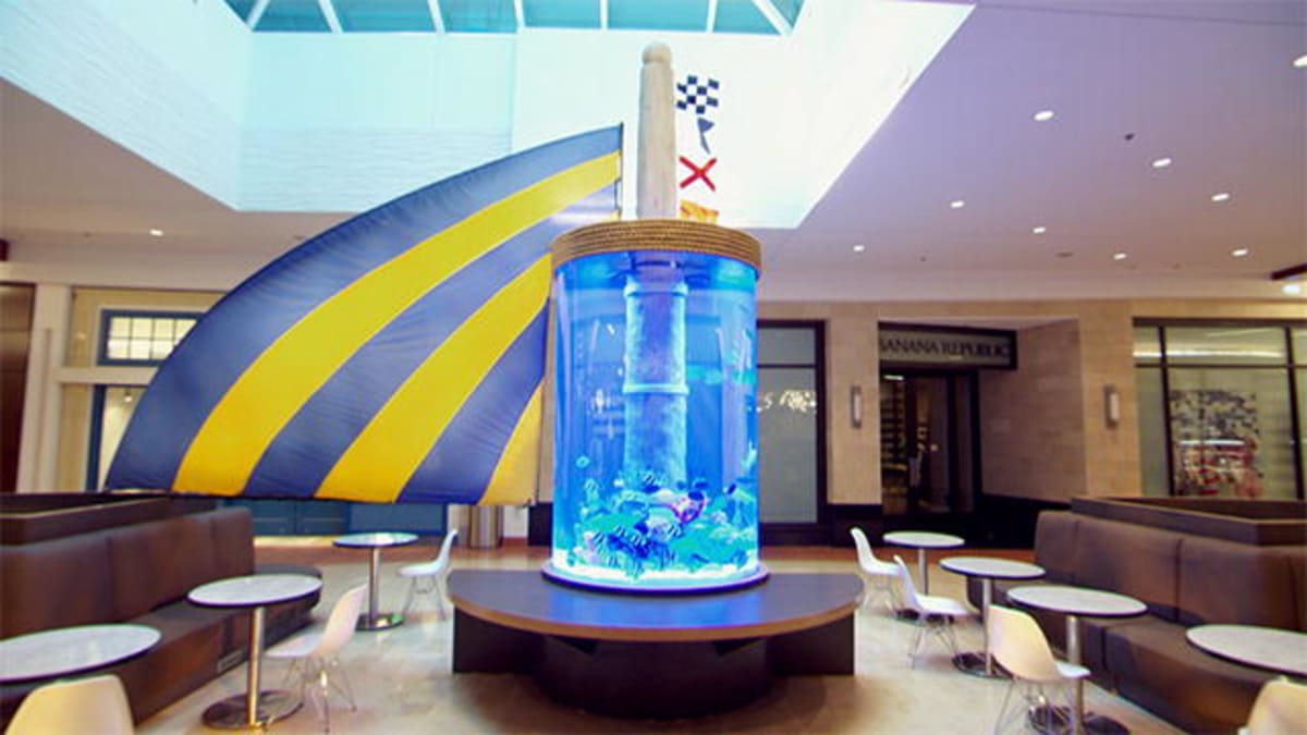 Reveal: Westfield Mall Tank - Tanked | Animal Planet