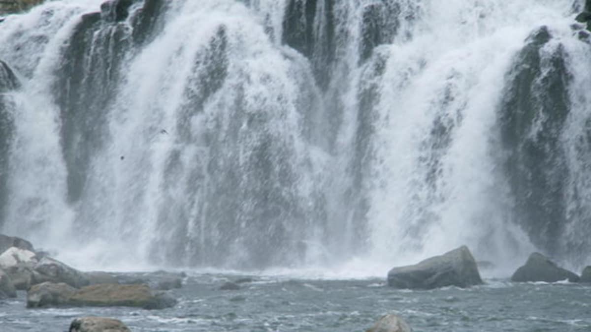 Monster Journeys - Filming in a Waterfall - River Monsters | Animal Planet