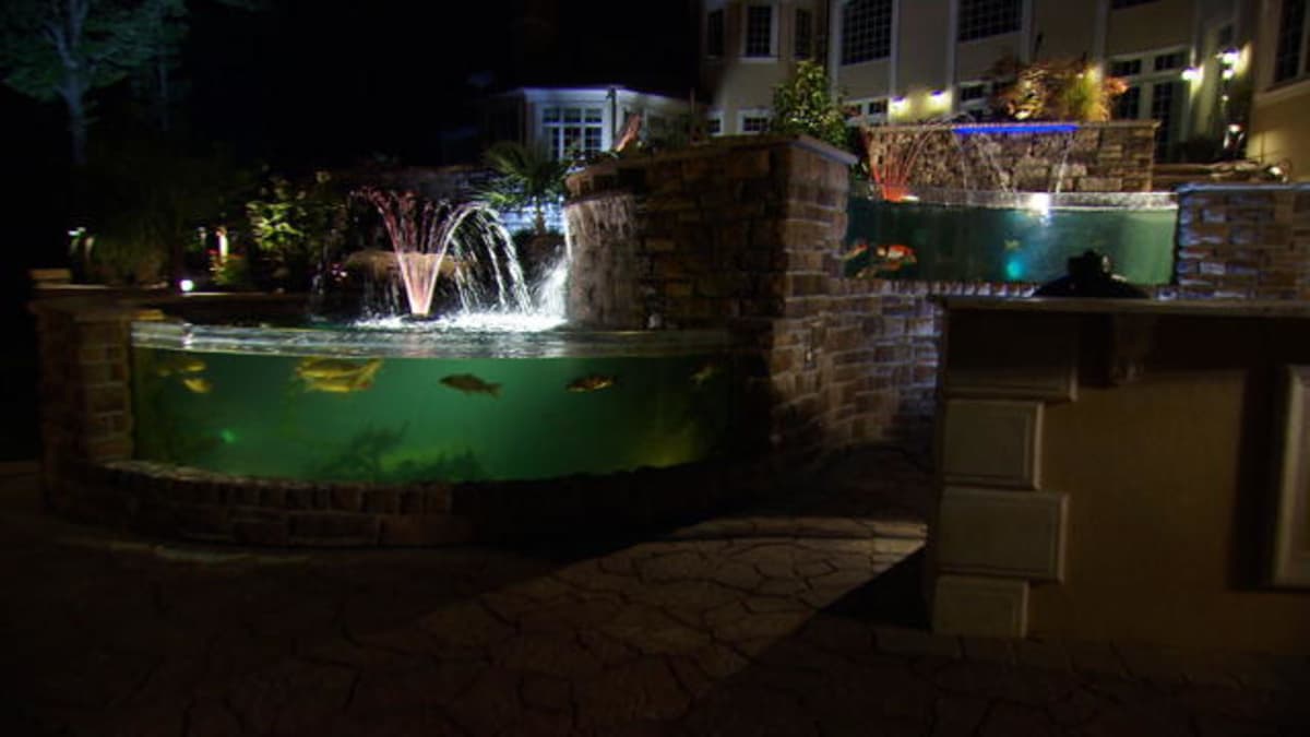 Reveal: Bart Scott's Koi Pond - Tanked | Animal Planet