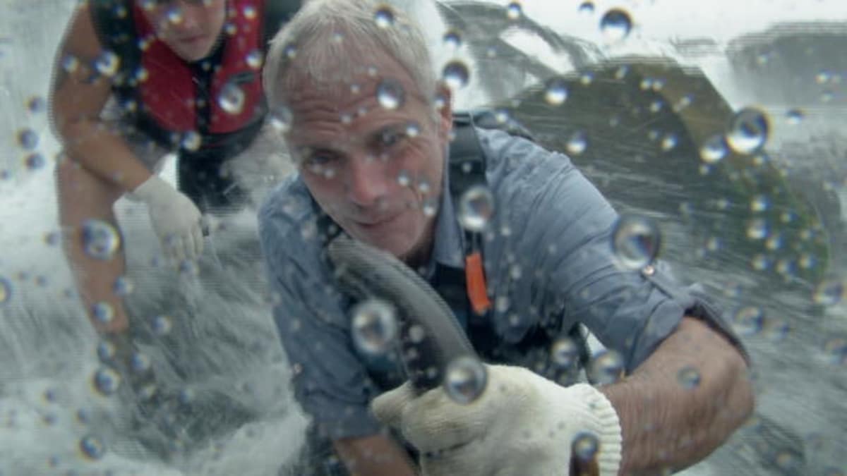 Hunting Lampreys Under a Waterfall - River Monsters | Animal Planet