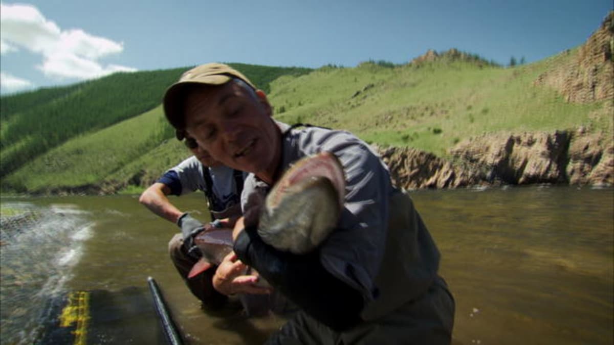 How to Catch a Mongolian Taimen - River Monsters | Animal Planet