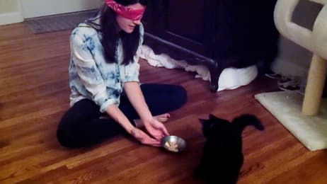 Poor Cat Foley Is Terrorized By Nightmares - My Cat From Hell | Animal ...