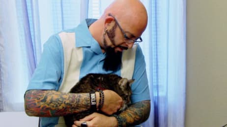 Poor Cat Foley Is Terrorized By Nightmares - My Cat From Hell | Animal ...