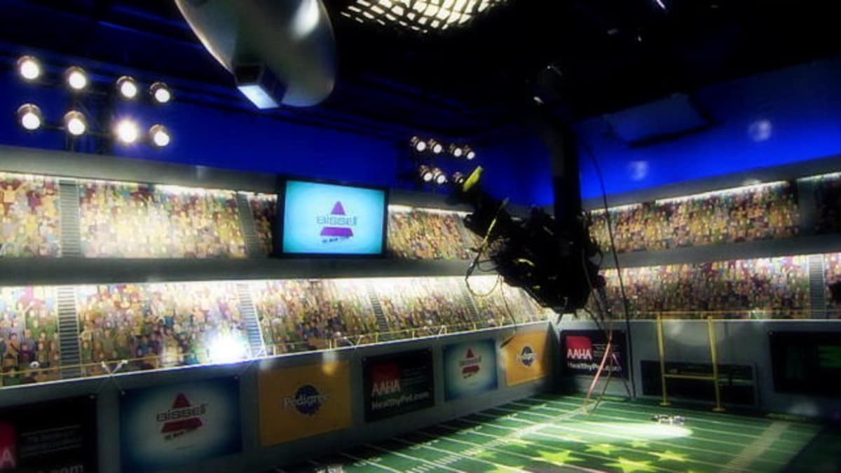 Making of Puppy Bowl: The Stadium - Puppy Bowl | Animal Planet