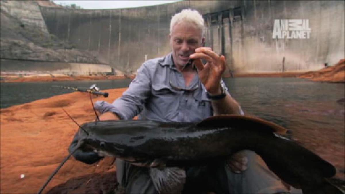 Giant Vundu Caught Under Dam - River Monsters | Animal Planet
