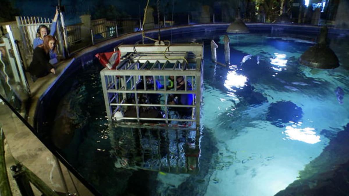 Favorite Pranks: Heather Gets Payback - Tanked | Animal Planet