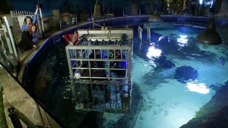 Wayde and Brett on Their Top 5 Aquariums - Tanked | Animal Planet