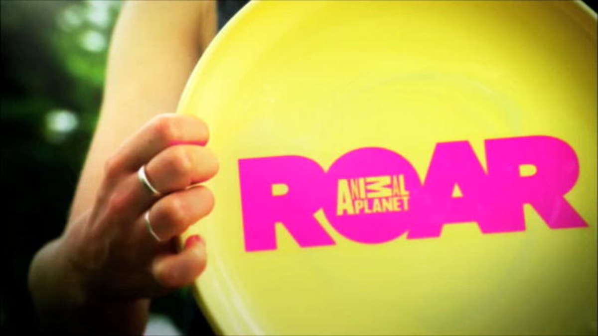 How Can You ROAR? - ROAR | Animal Planet