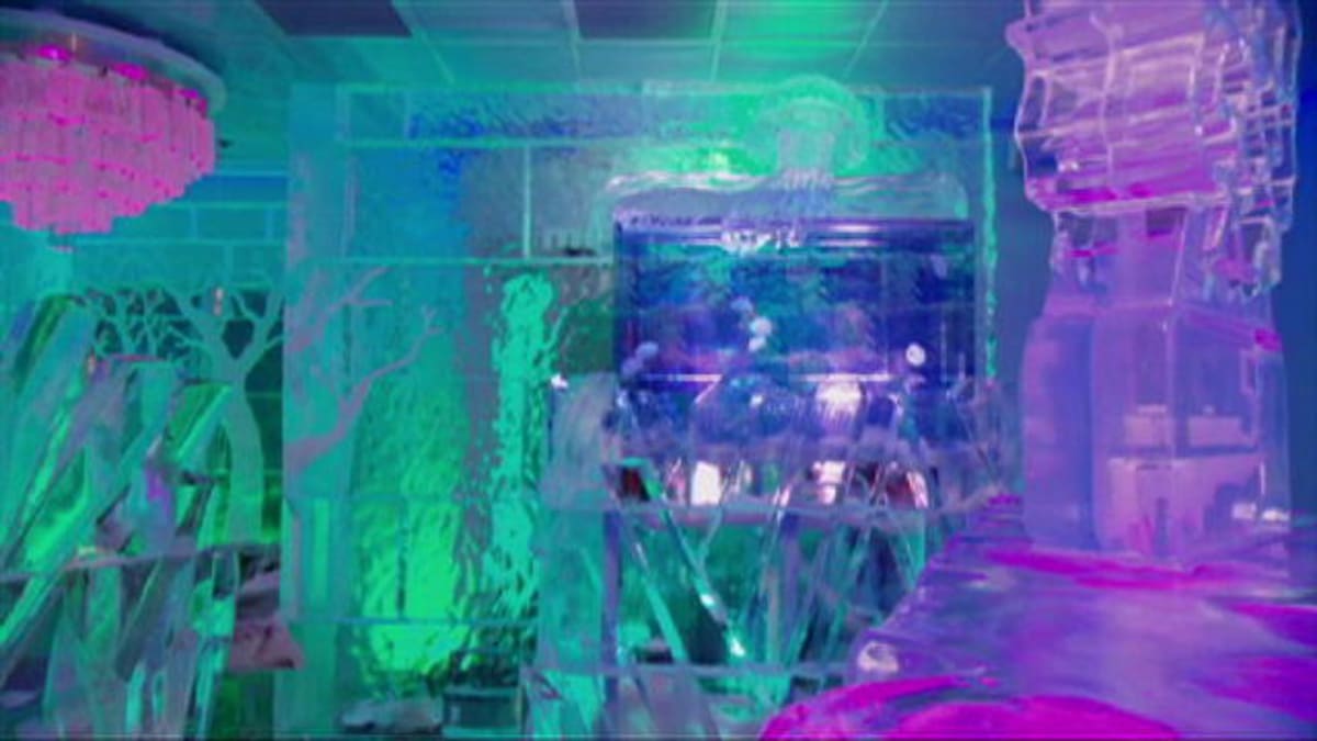 Reveal: Ice Bar Tank - Tanked | Animal Planet