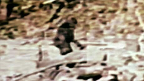 Salt Fork Bigfoot Sighting - Finding Bigfoot | Animal Planet