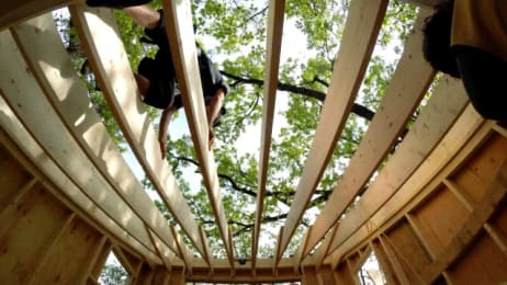 Behind The Build: Vincent Van Treehouse - Treehouse Masters | Animal Planet