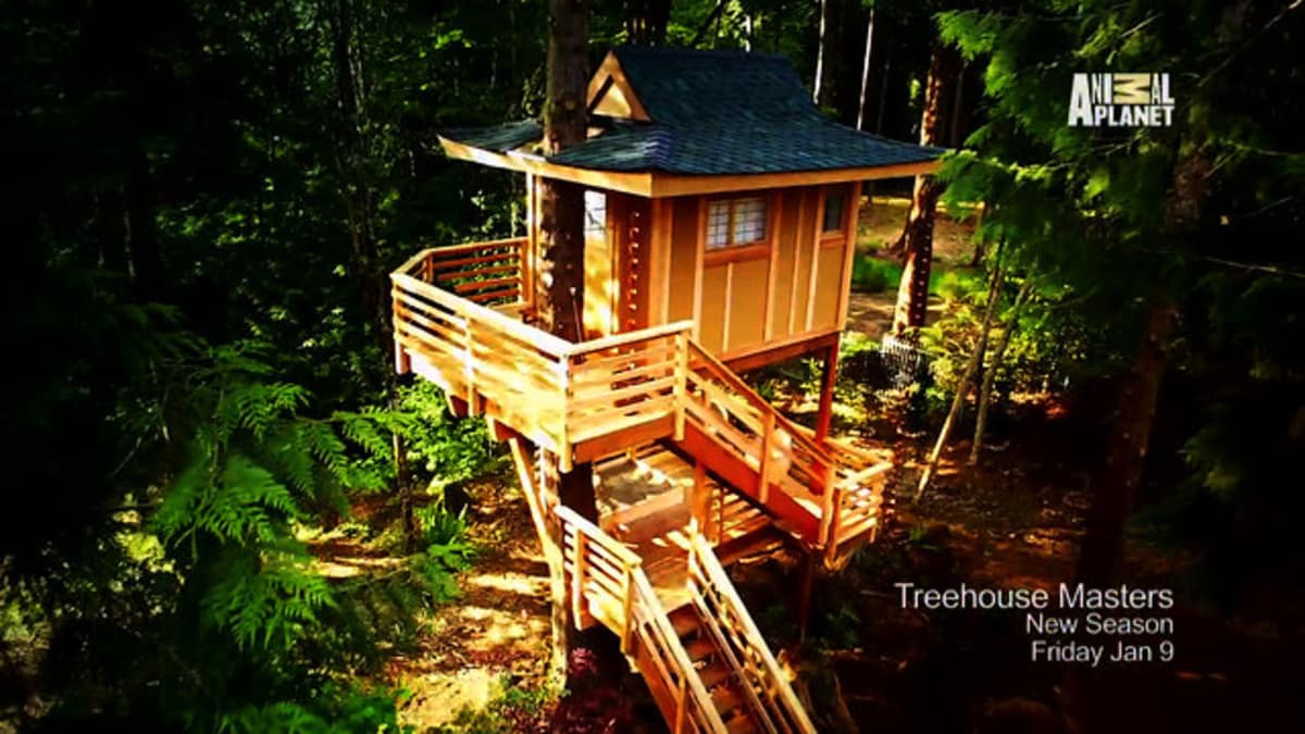 What's Happier Than a Treehouse? - Treehouse Masters | Animal Planet