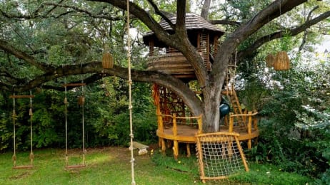 A Treehouse Without a Tree - Treehouse Masters | Animal Planet