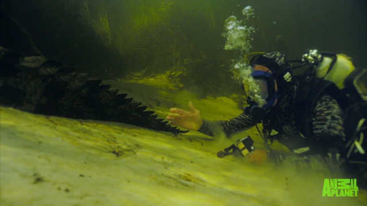 Season 7 Sneak Peek: Jeremy Wade Returns in All-New River Monsters ...