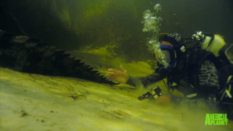 Giant Vundu Caught Under Dam - River Monsters | Animal Planet