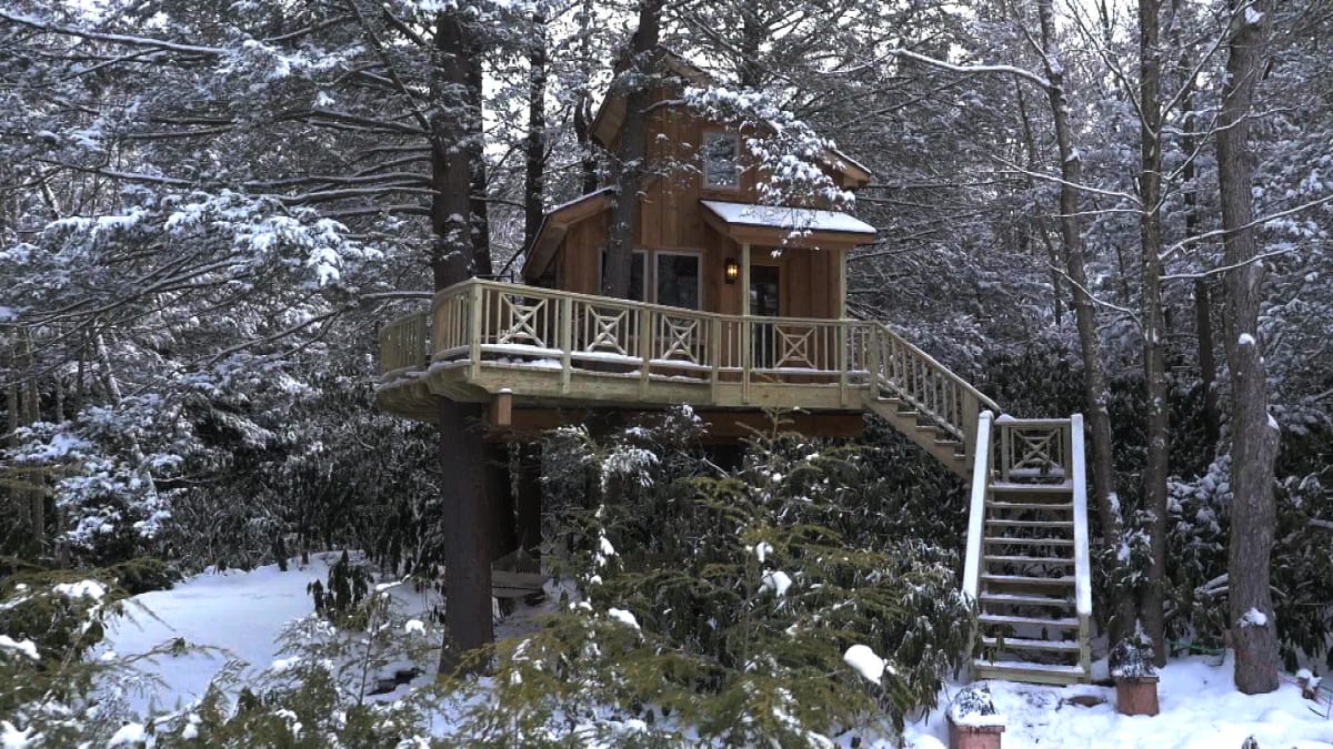 Time Lapse: Ultimate Giveaway Treehouse - Treehouse Masters | Animal Planet