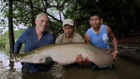 Giant Vundu Caught Under Dam - River Monsters | Animal Planet