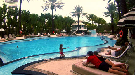 The Pool Master | Watch Full Episodes & More! - Animal Planet