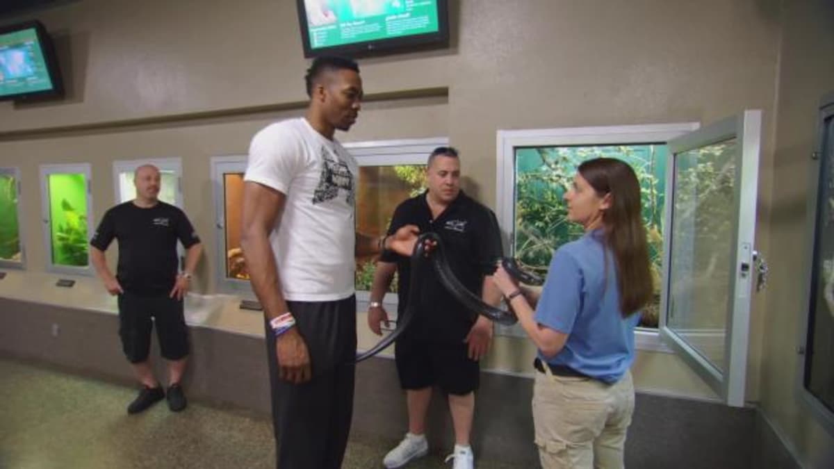 All Snakes Can Bite - At the Zoo with Dwight Howard - Tanked | Animal ...