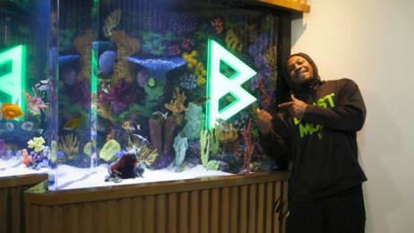 Reveal: Pete Rose's Riverfront-themed Tank - Tanked | Animal Planet