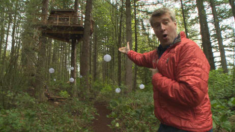 Pete Spends Some Quality Time with His Boys - Treehouse Masters ...