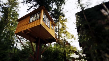 Behind the Build: Lumberjack Adventure Shack - Treehouse Masters ...