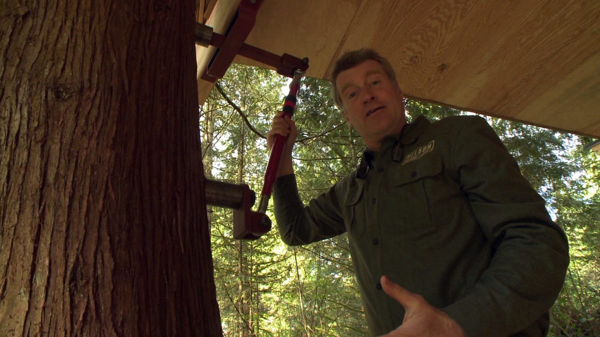 Behind the Build: John's Treehouse - Treehouse Masters | Animal Planet