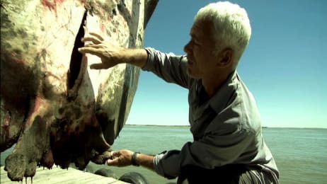 Make-A-Wish and Jeremy Wade Make River Monster Dreams Come True - River ...