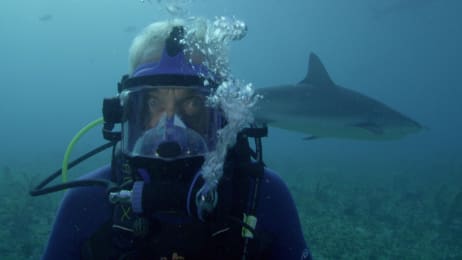 Legendary River Predators Up Close and Personal - River Monsters ...