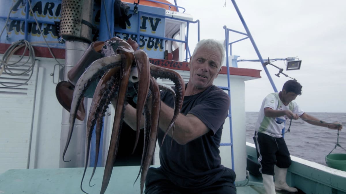 The Humboldt Squid is the Diablo Rojo Jeremy Has Been Looking For ...