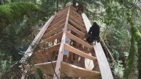 Step 2: Design the Treehouse - Treehouse Masters | Animal Planet