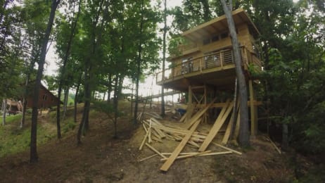 Timelapse: Angry Orchard - Treehouse Masters | Animal Planet
