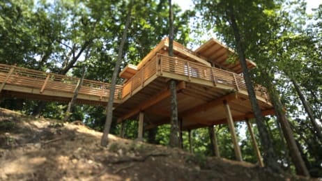 A Treehouse Without a Tree - Treehouse Masters | Animal Planet