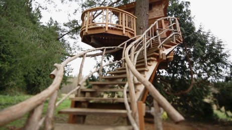 A Treehouse Without a Tree - Treehouse Masters | Animal Planet