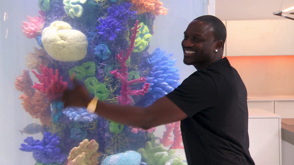 Akon Gets Tanked - Tanked | Animal Planet