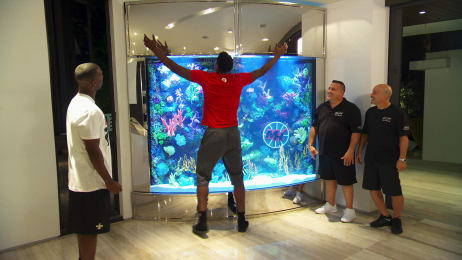 It's the Holidays at ATM! - Tanked | Animal Planet