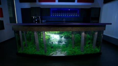 Redfoo's Party Rock Tank - Tanked | Animal Planet