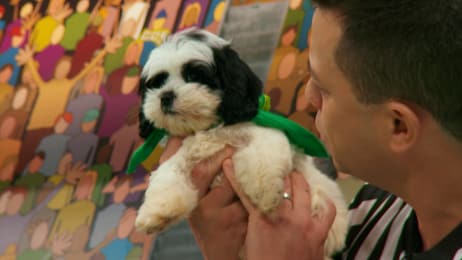 Chicklet - Puppy Bowl | Animal Planet