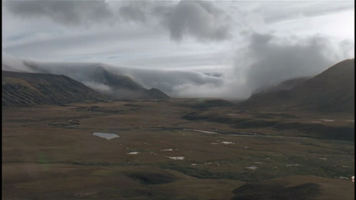Crozet Islands - Wild Kingdom | Animal Planet