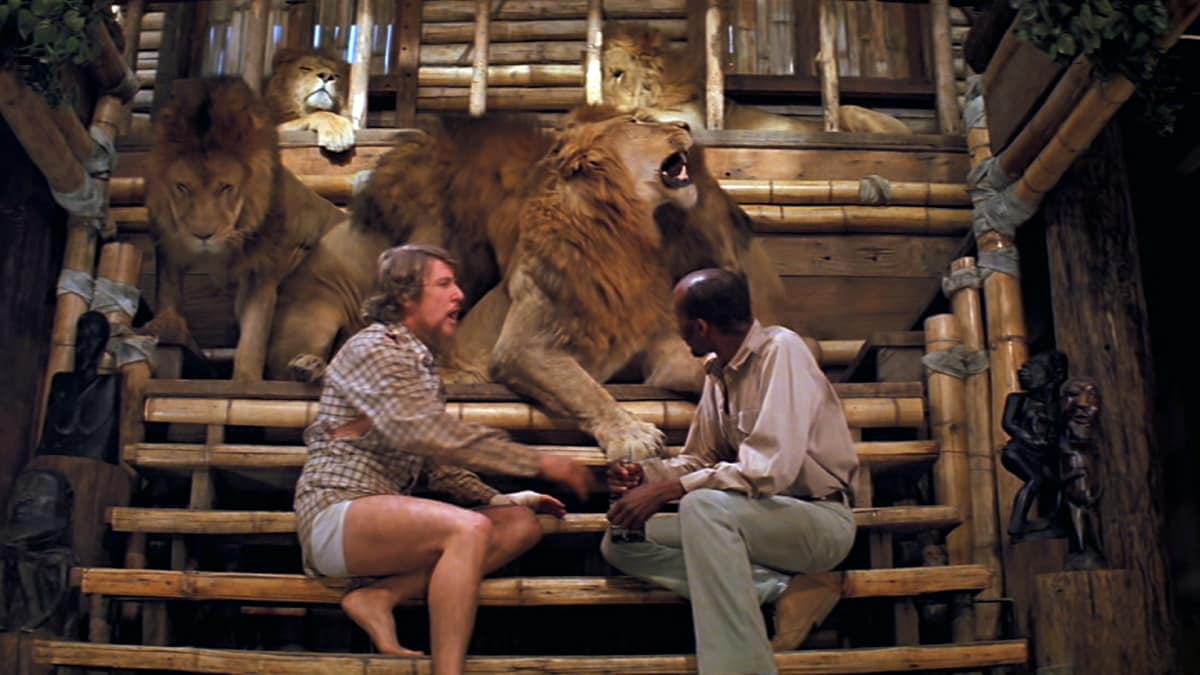 Why Working with Untamed Lions is a Very Bad Idea - Roar: The Most ...