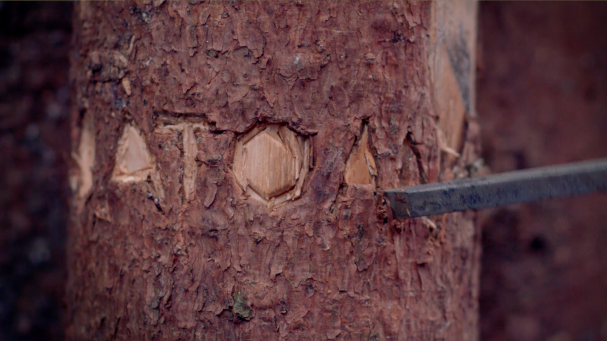 Refuge on Croatoan? - Mysteries of the Missing | Science