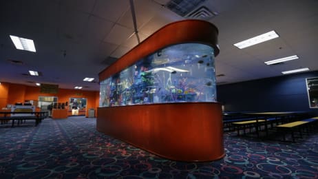 Tanked | Watch Full Episodes & More! - Animal Planet